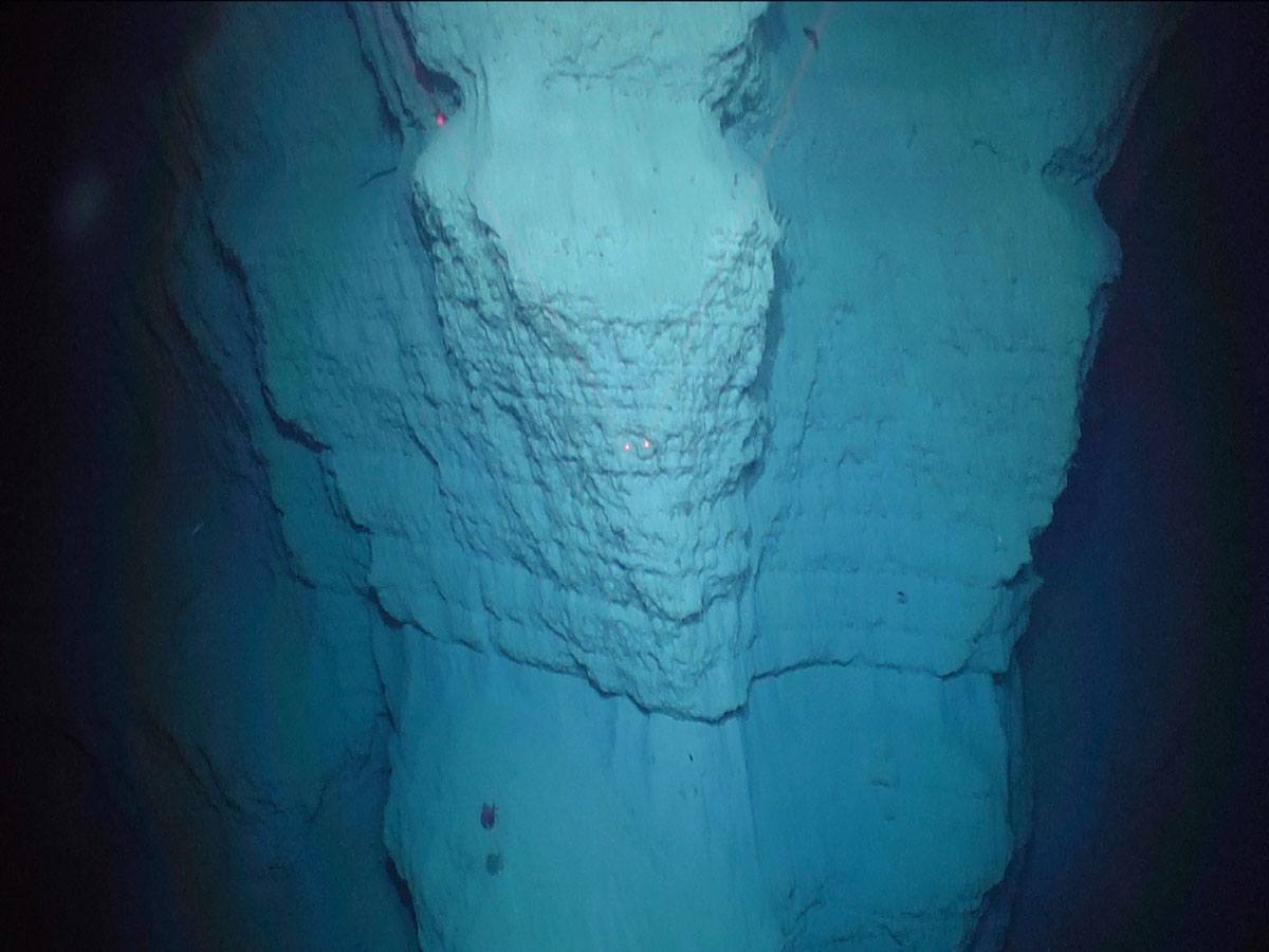 Perth Canyon: First Deep Exploration - Schmidt Ocean Institute