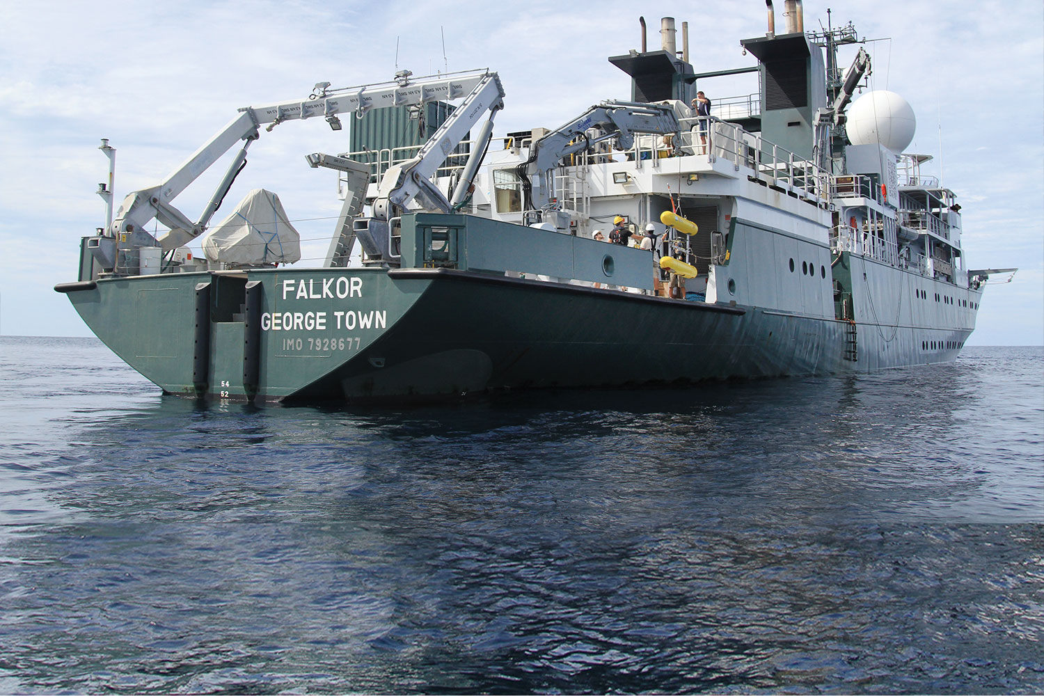 A Year Of Exploration & Discovery - Schmidt Ocean Institute